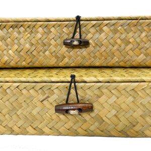 Tulshuk Seagrass Storage Bins with Lid Woven Wicker Baskets Organizer Flat Rattan Boxes for Home Shelves Decorative,Set of 2 (Small+Large)