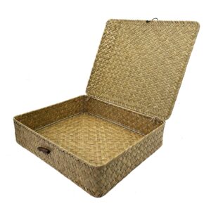 Tulshuk Seagrass Storage Bins with Lid Woven Wicker Baskets Organizer Flat Rattan Boxes for Home Shelves Decorative,Set of 2 (Small+Large)