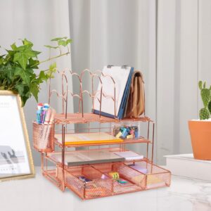 Barelove Rose Gold Desk Organizer with Pen Holder, 4-Trays Mesh Paper Letter File Sorter with 5 Upright Document Rack & Drawer, Desktop Metal Storage Magazine Folder for Home Office School Supplies