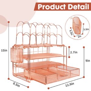 Barelove Rose Gold Desk Organizer with Pen Holder, 4-Trays Mesh Paper Letter File Sorter with 5 Upright Document Rack & Drawer, Desktop Metal Storage Magazine Folder for Home Office School Supplies