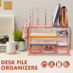 Barelove Rose Gold Desk Organizer with Pen Holder, 4-Trays Mesh Paper Letter File Sorter with 5 Upright Document Rack & Drawer, Desktop Metal Storage Magazine Folder for Home Office School Supplies