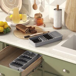 Lifewit Knife Drawer Organizer, Drawer Knife Block for 9 Knives, 2 Tier Knife Insert Holder Storage for Kitchen Drawer Countertop, Gray