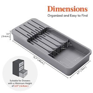 Lifewit Knife Drawer Organizer, Drawer Knife Block for 9 Knives, 2 Tier Knife Insert Holder Storage for Kitchen Drawer Countertop, Gray