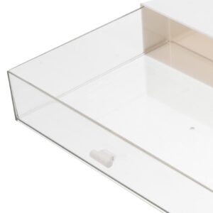 BESPORTBLE Box Drawer Storage Box Eyeshadow Palettes Holder Stationery Storage Container Plastic Table Drawer Plastic Drawer Storage Drawers Organizer Make up Office Bathroom Cabinet