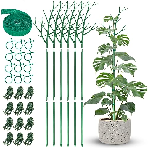 NiHome Comprehensive Plant Support Stake Set of 6 - Durable, UV Resistant 39.5" Stakes with Extension Poles, Orchid Clips & Plant Ties for Climbing Indoor & Outdoor Plants, Monstera, Pothos & More