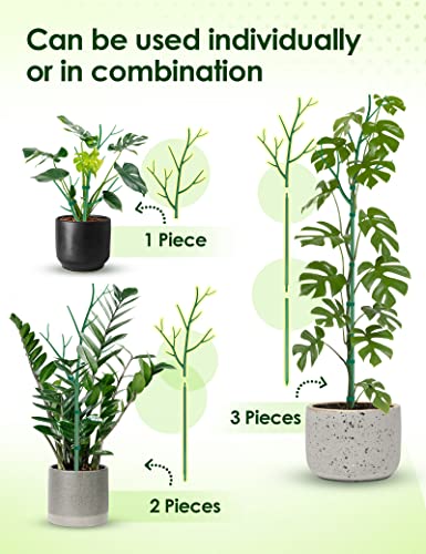 NiHome Comprehensive Plant Support Stake Set of 6 - Durable, UV Resistant 39.5" Stakes with Extension Poles, Orchid Clips & Plant Ties for Climbing Indoor & Outdoor Plants, Monstera, Pothos & More