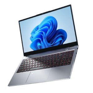 15.6 Inch Laptop, Fingerprint Reader FHD IPS Stereo Dual Speakers Laptop Support Bluetooth 16G Running Memory 8000mAh for Business for Windows 10 (16+1TB US Plug)