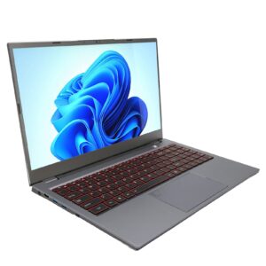 15.6 Inch Laptop, Fingerprint Reader FHD IPS Stereo Dual Speakers Laptop Support Bluetooth 16G Running Memory 8000mAh for Business for Windows 10 (16+1TB US Plug)