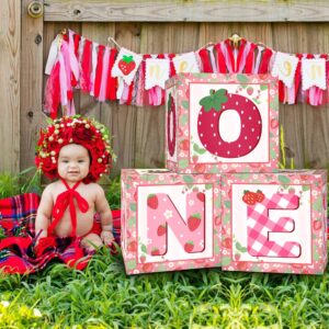 Strawberry Balloon Boxes 1st Birthday Party Supplies Strawberry Backdrop One Birthday Balloon Blocks Decorations for Baby Girl First Birthday Strawberry Party Decorations Supplies