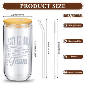 Purpeak 6 Set Employee Appreciation Gifts Thank You Gifts for Staff Coworker Thank You Glass Cups 16 oz Can Shaped Beer Glass with Lids Straws Brushes for Team Teacher Nurse(Inspirational Style)