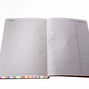 Collins Edge Rainbow 2024 Diary A5 Week to View Planner - Lifestyle Planner and Organiser for Office, Work, Personal and Home - January to December 2024 Diary - Weekly - Charcoal - ED153.U96-24