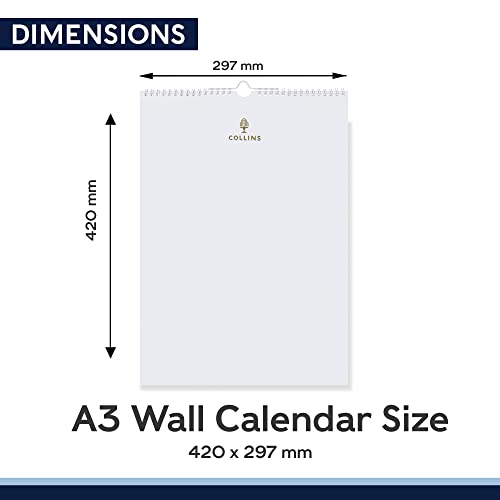 Collins Edge Rainbow 2024 Family Wall Calendar - Lifestyle Planner and Organiser for Office Work Personal and Home - January to December 2024 Diary - Weekly - - EDFC135-24 Black