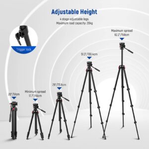 NEEWER 63"/160cm Travel Tripod, Portable Aluminum Video Tripod with Pan Tilt Fluid Head Compatible with Panasonic Sony Canon JVC Mini DV Camcorder, DSLR Camera, Max Load 17.6lb/8kg, TP22