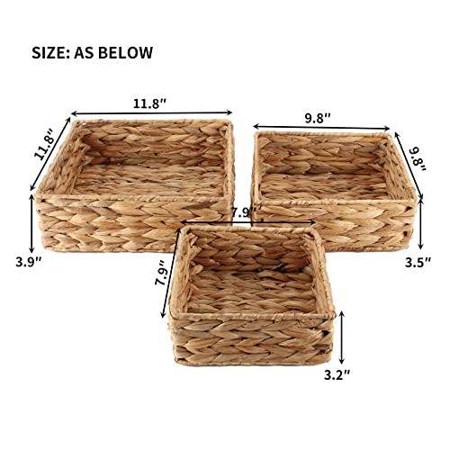 YRMT Water Hyacinth Baskets Set 3 Woven Square Basket for Storage Organizing Decorative Handmade Wicker Basket for Pantry Shelf Cabinet Small 12" x 12" x 4"