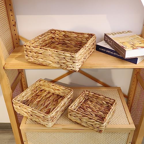 YRMT Water Hyacinth Baskets Set 3 Woven Square Basket for Storage Organizing Decorative Handmade Wicker Basket for Pantry Shelf Cabinet Small 12" x 12" x 4"