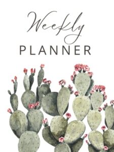 weekly cactus planner 2024: large one year monthly planner from january 2024 to december 2024 (12 months) with federal holidays | monthly weekly agenda & schedule organizer |