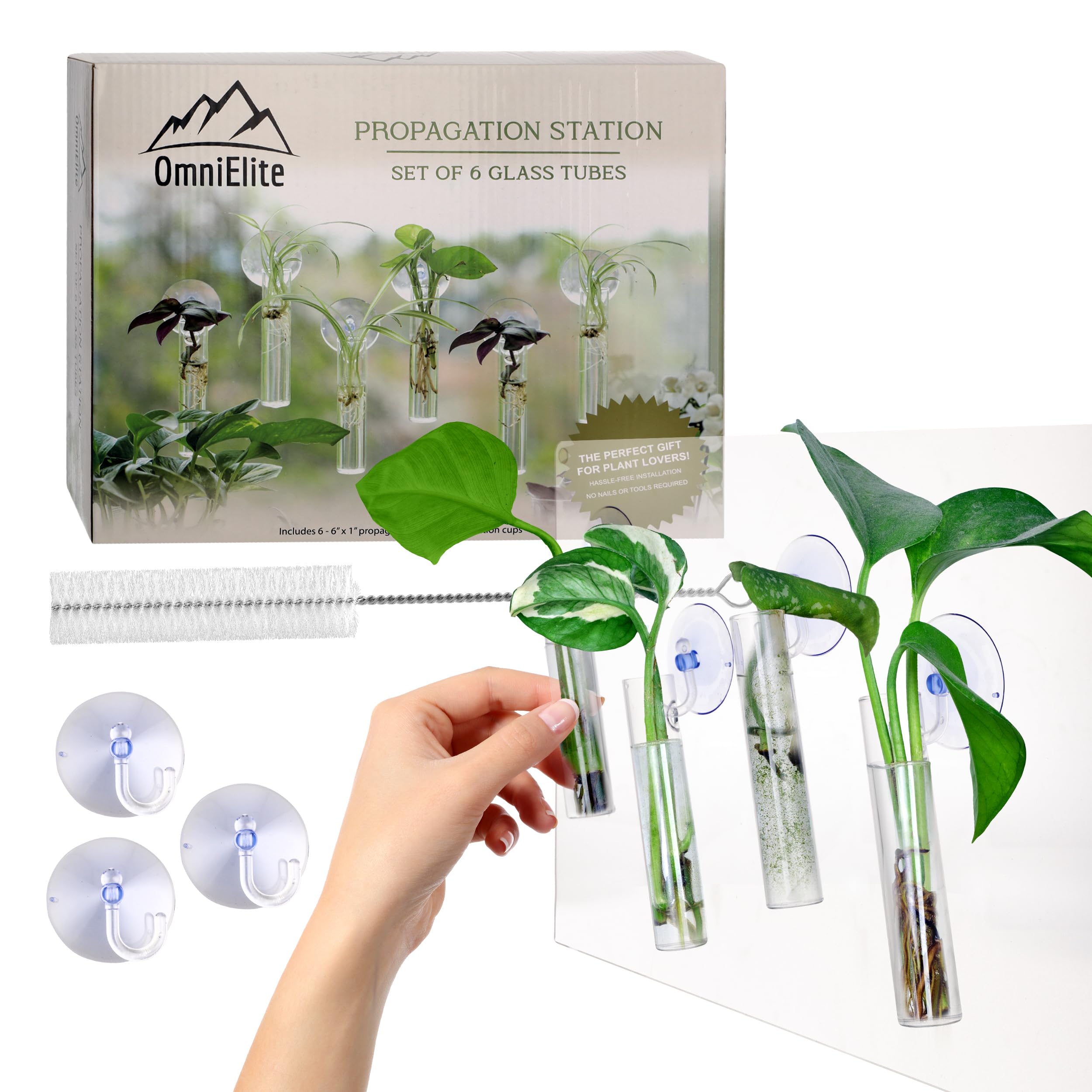 Window Propagation Stations (Set of 4) | Easy to Install Plant Propagation Tubes with Suction Cups - No Nails | Hanging Propagation Station | Gifts for Plant Lovers | Hanging Terrarium