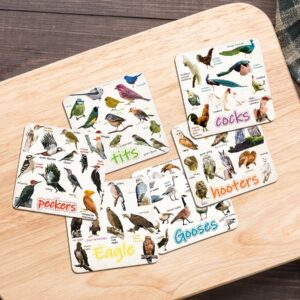 Set of 6 Bird Pun Coasters, Bird Pun Coasters for Drinks, Square Coaster Set for Cups Home Funny Coasters Set for Bird Lover Friends Bar Housewarming Gift Coffee