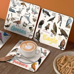 Set of 6 Bird Pun Coasters, Bird Pun Coasters for Drinks, Square Coaster Set for Cups Home Funny Coasters Set for Bird Lover Friends Bar Housewarming Gift Coffee