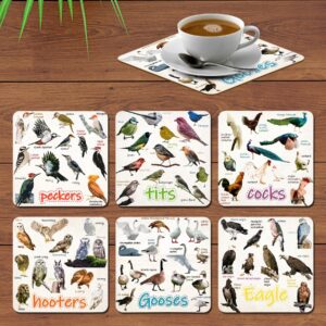 Set of 6 Bird Pun Coasters, Bird Pun Coasters for Drinks, Square Coaster Set for Cups Home Funny Coasters Set for Bird Lover Friends Bar Housewarming Gift Coffee