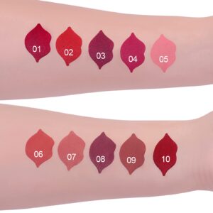 Easilydays Matte Red Lipstick for Women, Moisturizing Velvet Lipsticks, Long Lasting Smudge-Proof Lip Stick, Light Bright Labiales Matte Lipstick Lip Stain High Pigmented Dark Makeup Lip Gloss (#10)