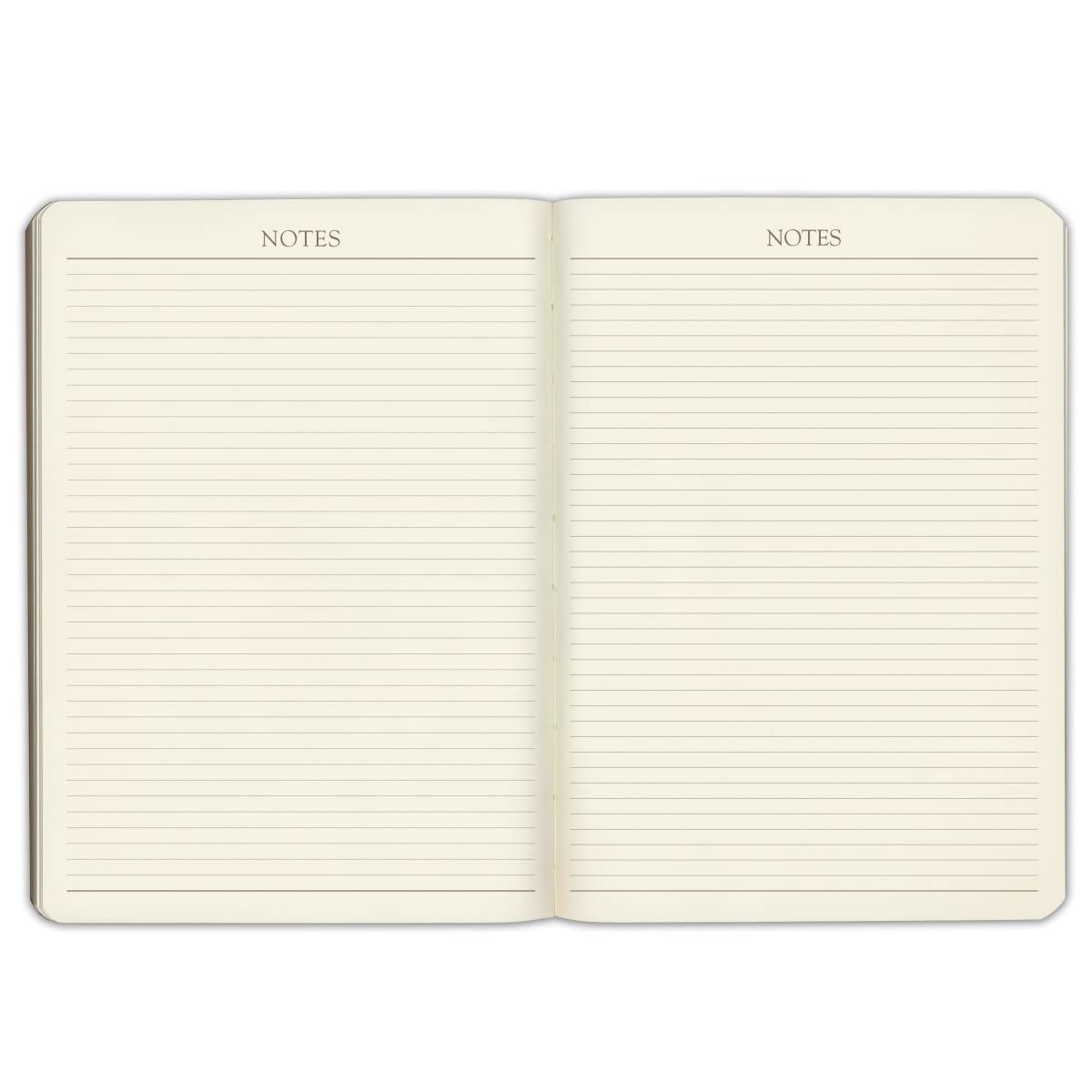 2024 Gallery Leather Desk Monthly Planner - Acadia Pool - 8x5.5"