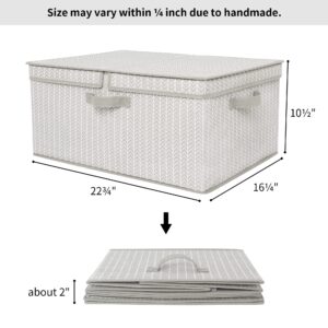 GRANNY SAYS Bundle of 1-Pack Large Basket for Organizing & 1-Pack Closet Baskets and Bins for Shelves