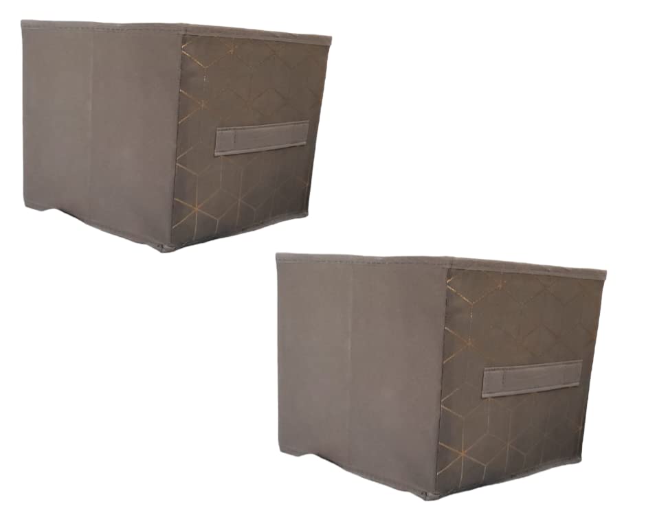 LLGT Set of 2 Fabric Collapsible Storage Cubes 9x9x8 Inch Gray and Gold for Dorm Rooms Homes Cars