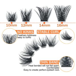 Lash Clusters 144 Pcs Cluster Lashes DIY Eyelash Extensions C D Curl 10-16mm Mega Volume Fluffy Individual Lashes Wispy Eyelashes DIY at Home, by Kmilro (Volume, 0.07C-10-16mm Mix)