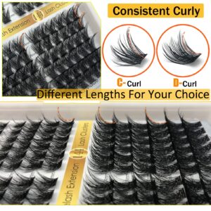 Lash Clusters 144 Pcs Cluster Lashes DIY Eyelash Extensions C D Curl 10-16mm Mega Volume Fluffy Individual Lashes Wispy Eyelashes DIY at Home, by Kmilro (Volume, 0.07C-10-16mm Mix)