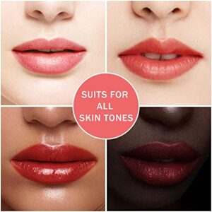 4 Pcs Fruit Lip Stain Set, Vivid Watery Lip Tint Lip Gloss, Plump Velvet Lip Tint Stain, Natural Matte Liquid Lipstick for Lips Cheek Eye, Non-Stick Cup Mini Tinted Lip Long lasting Waterproof