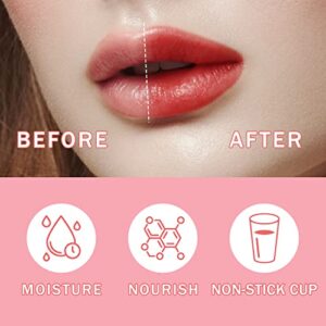 4 Pcs Fruit Lip Stain Set, Vivid Watery Lip Tint Lip Gloss, Plump Velvet Lip Tint Stain, Natural Matte Liquid Lipstick for Lips Cheek Eye, Non-Stick Cup Mini Tinted Lip Long lasting Waterproof