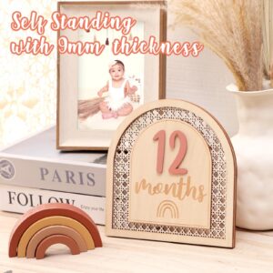 Huray Rayho Boho Rattan Monthly Photo Props Cards Wooden Bohemian Blocks Rainbow Interchangeable Photo Props with 11 Swappable Numbers Set of 12 for Baby Growth Record Baby Shower Plaques