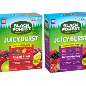 Bundle of Black Forest Juicy Burst Fruit Snacks - Mixed Fruit + Berry Medley, 0.8 Ounce Pouches (40 Count per Box)