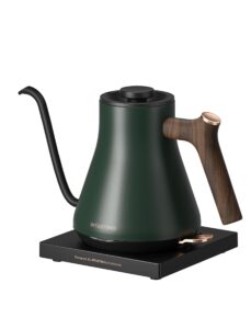 intasting gooseneck electric kettle hot water boiler pour over coffee and steeping tea, 304 stainless steel, 0.9l/30oz, auto shut-off & boil dry protection, matte green with dark brown wood handle