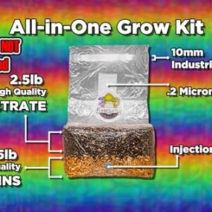 Booming Acres | The Magical 5lb All-in-One Mushroom Grow Bag | Mushroom Grow Kit | Harvest Your own Happiness | Discover The Magic of Growing Mushrooms - 5lb Grow Bag Mushroom Starter Kit