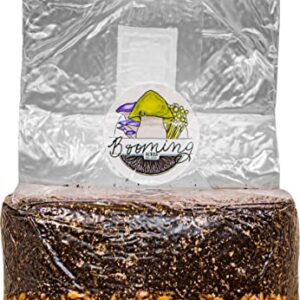 Booming Acres | The Magical 5lb All-in-One Mushroom Grow Bag | Mushroom Grow Kit | Harvest Your own Happiness | Discover The Magic of Growing Mushrooms - 5lb Grow Bag Mushroom Starter Kit