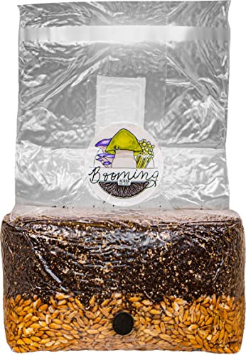 Booming Acres | The Magical 5lb All-in-One Mushroom Grow Bag | Mushroom Grow Kit | Harvest Your own Happiness | Discover The Magic of Growing Mushrooms - 5lb Grow Bag Mushroom Starter Kit