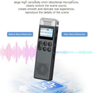 80GB Digital Voice Activated Recorder with Playback - Audio Voice Recorder for Lectures Meetings, Recording Device Dictaphone Sound Tape Recorder with Password & Card Reader