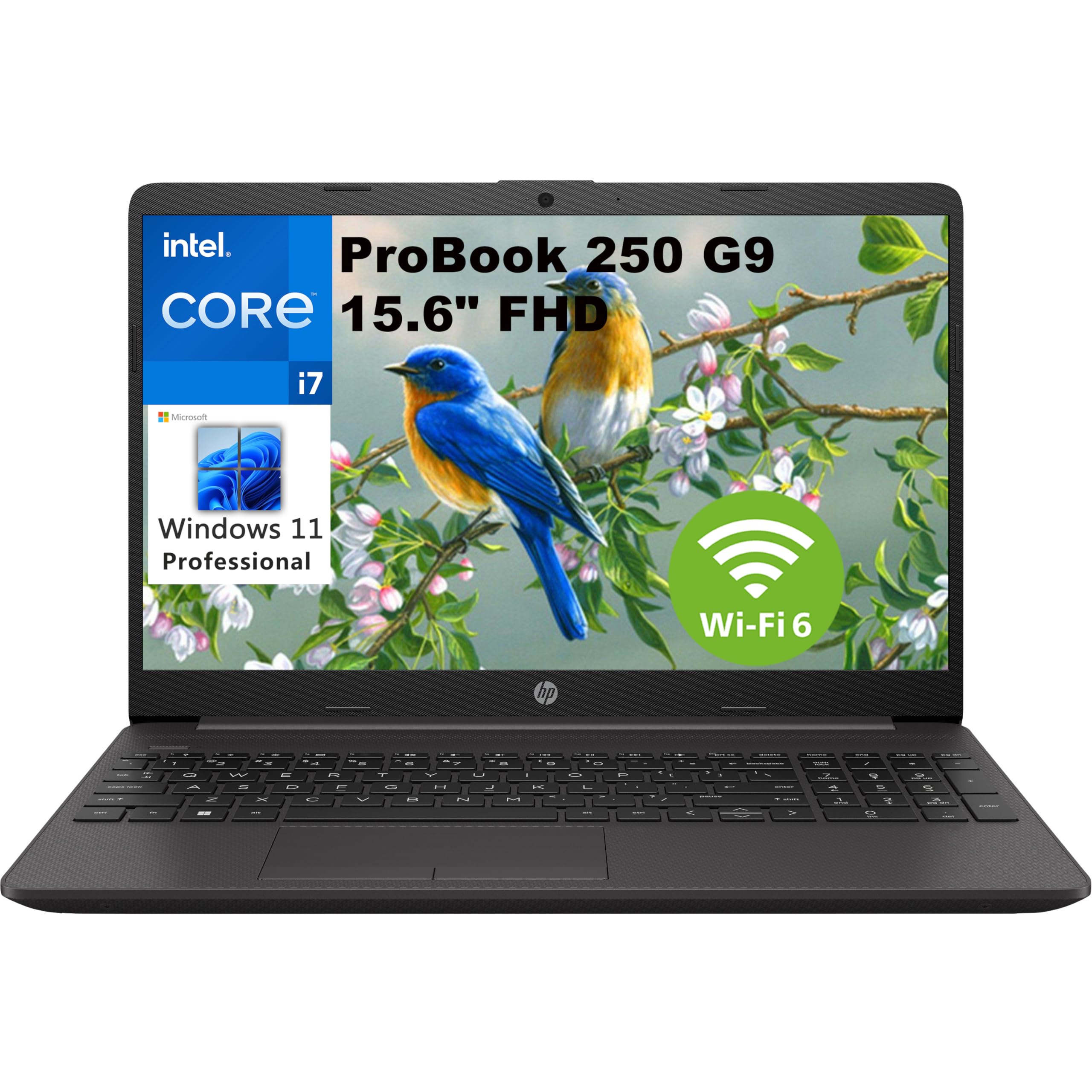 HP ProBook 250 G9 15.6" FHD Business Laptop Computer, 12th Gen Intel 10-Core i7-1255U up to 4.7GHz, 64GB DDR4 RAM, 2TB PCIe SSD, WiFi 6, Bluetooth 5.3, Windows 11 Pro, iPuzzl Cable