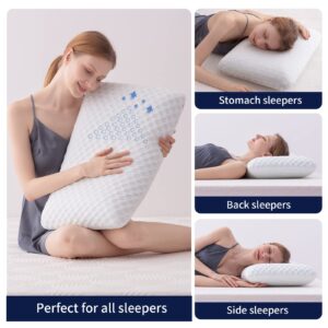 Hcore Gel Memory Foam Pillow Dual-Sided Cooling & Cozy Washable Cover for All Seasons Ventilated Breathable Sleeping- CertiPUR-US Queen (Pack of 1)