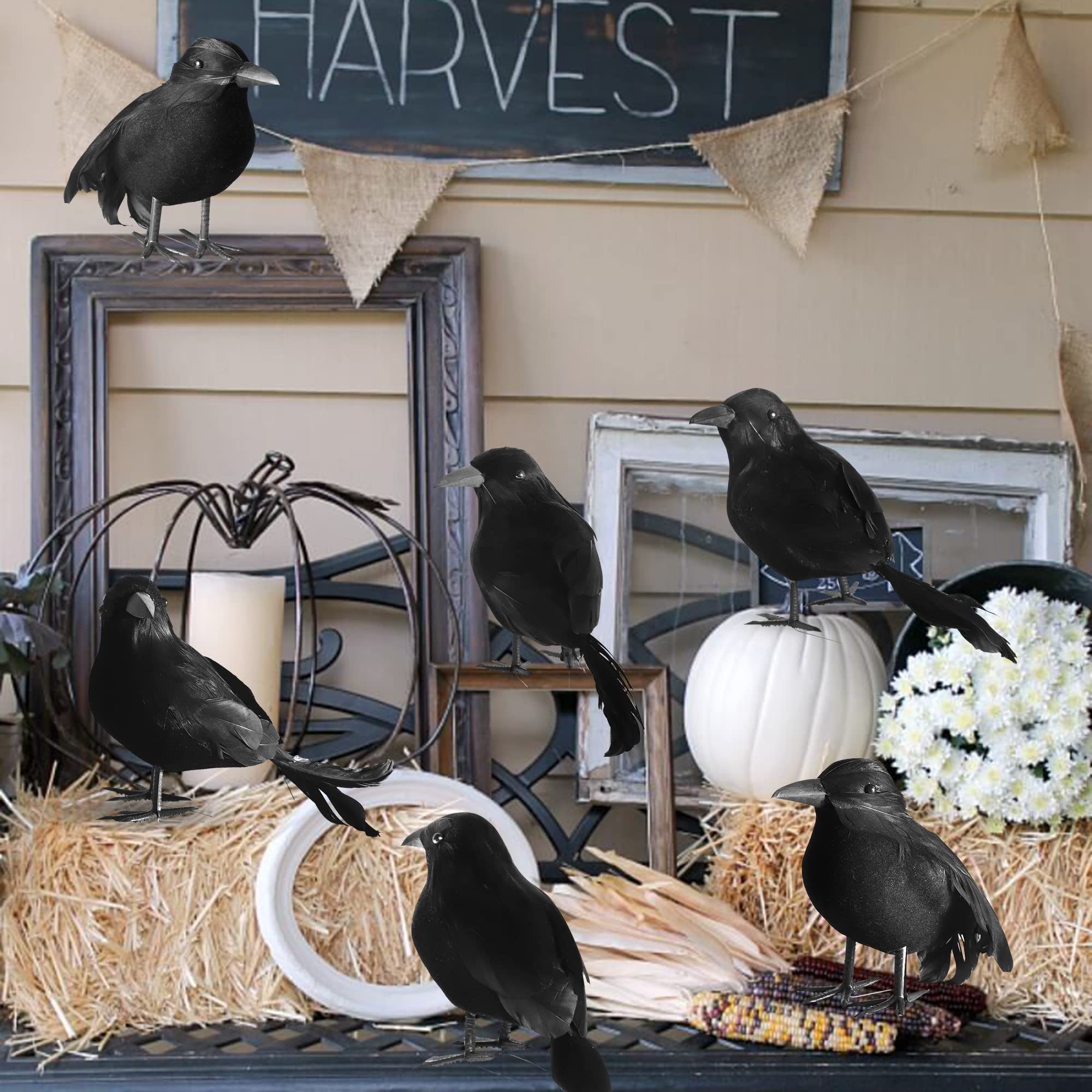 kemooie 6 Packs Real Feathered Halloween Black Crows, Handmade Realistic Crow with Real Feathers Raven Birds for Yard Tree Garden Patio Indoor Outdoor Halloween Decorations