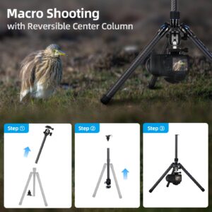 SIRUI Carbon Fiber Tripod with B-00K Panoramic Ball Head, 59.8” Compact Lightweight Travel Tripod AT-125, Quick Release Reverse Folding Legs, Reversible Center Column, Max Load 22lbs - Traveler X-I