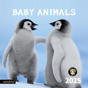 2024 wall calendar,calendar 2024, july 2024 - december 2025, wall calendar baby animals, 12" x 24" opened,full page months thick & sturdy paper for gift perfect calendar organizing & planning