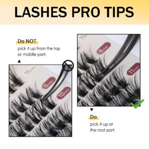 Mayhug Individual Lashes 280Pcs DIY Eyelash Extensions Individual Lashes Wispy Cluster Lashes D Curl 8-15Mix False Eyelashes Individual Extension Clusters at Home (30D+40D,0.05D)