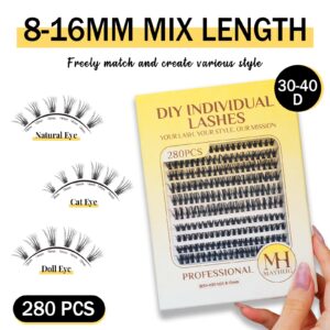 Mayhug Individual Lashes 280Pcs DIY Eyelash Extensions Individual Lashes Wispy Cluster Lashes D Curl 8-15Mix False Eyelashes Individual Extension Clusters at Home (30D+40D,0.05D)