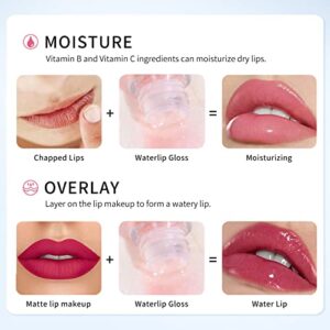 Rosarden Shimmer Hydrating Lip Gloss - Moisturizing Glossy Lip Gloss - Lip Plumping Gloss - Plumping Lip Oil- Non Sticky Lip Gloss - Waterproof & Long Lasting Lip Gloss - Pink Lip Gloss for Women