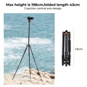 K&F Concept 78 inch/198cm Camera Tripod,3 Sections Central Axis Travel Tripod with 32mm Metal Ball Head Load Capacity 26.4 lbs/12KG for DSLR Cameras Indoor Outdoor Use