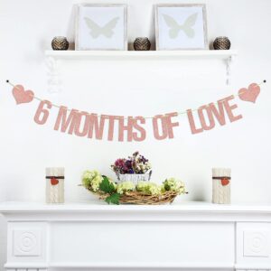 6 Months of Love Banner, Half Way to One Banner, Happy 6 Month, Half Birthday Decorations, 1/2 Birthday Baby Shower Party, First Birthday Party Supplies Rose Gold Glitter