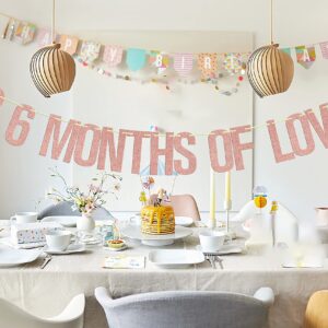 6 Months of Love Banner, Half Way to One Banner, Happy 6 Month, Half Birthday Decorations, 1/2 Birthday Baby Shower Party, First Birthday Party Supplies Rose Gold Glitter